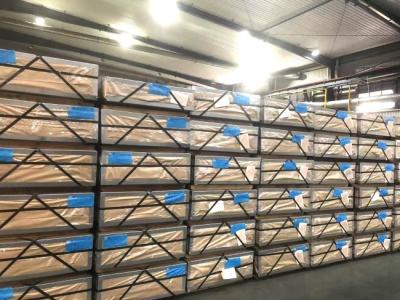 China Lacquer Tinplate Sheets for Metal Packaging Electrolytic Tin Plate Printing Service for sale
