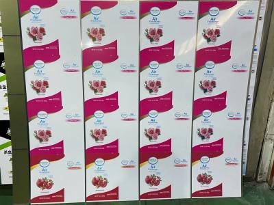 Chine FER-BLANC extérieur lumineux imprimé SPTE TFS de feuille électrolytique de fer-blanc à vendre