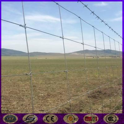 China 1mtr width deer fence weaving machine from China Big Machine Factory for sale