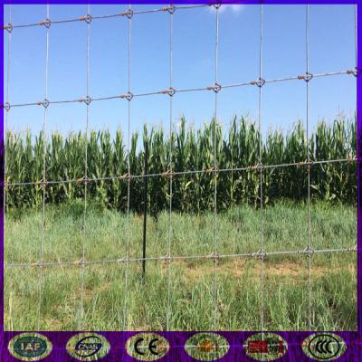 China China high quality strong field farm deer fence weaving machine for sale