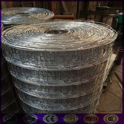 China Argentina Deer fence making machine for sale