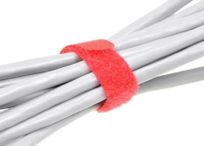 Cina la vita 20000times di 10*110mm ha riparato l'auto che chiude la cinghia a chiave del ciclo e del gancio con il fermaglio di plastica in vendita