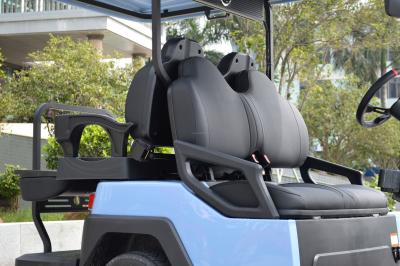 China 2 4 6 Seat Electric Lithium Battery Sightseeing Golf Cart Golf Buggy Car with DOT Comfortable and Spacious for sale