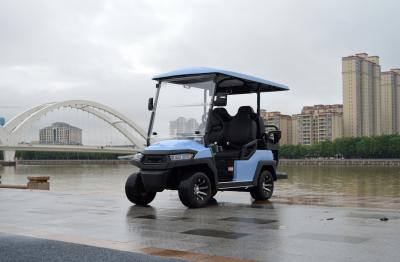 China 2 4 6 Seat Electric Lithium Battery Sightseeing Golf Cart Golf Buggy Car with DOT Comfortable and Spacious for sale