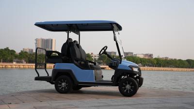 China 2 4 6 Seat Electric Lithium Battery Sightseeing Golf Cart Golf Buggy Car with DOT Comfortable and Spacious for sale