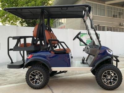 China Private Mold Electric Lifted Cart 4 Passenger Chinese Hunting Golf Carts with Rear Disc Brake for sale