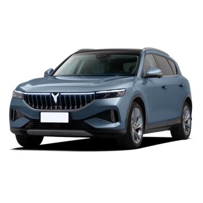China Luxury Energy Vehicles High Speed Mpv Dongfeng Voyah Free Pure Electric EV SUV Four Wheel Drive Electric Car 4905*1950*1645mm for sale