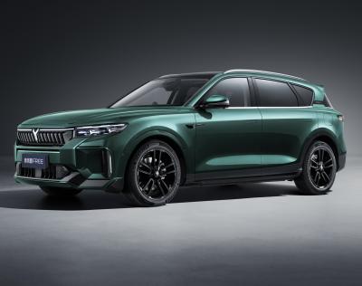 China Maximum Speed 200km/h Lantu Free 2024 Ultra Long Range Intelligent Driving Edition Medium and Large SUV Plus Program for sale