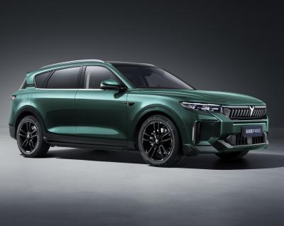 China Maximum Speed 200km/h Lantu Free 2024 Ultra Long Range Intelligent Driving Edition Medium and Large SUV Plus Program for sale