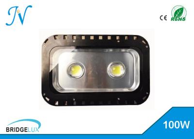 China Brightest Landscape Led Flood Lights Outdoor High Power 100w Led Floodlight for sale