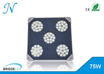 China High Output Decorative Outdoor Colored Led Flood Lights White Led Floodlight 75W for sale