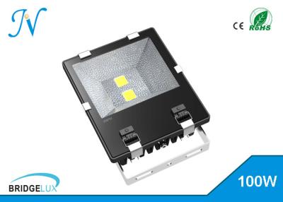 China High Output RGB 100w Led Flood Light Dimmable For Decorative Lighting for sale
