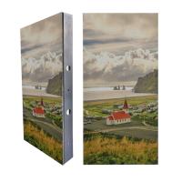 China P2.6 Indoor Fixed LED Display - 500×1000mm Cabinet, 800-1000 Nits Brightness for Professional AV Installations for sale