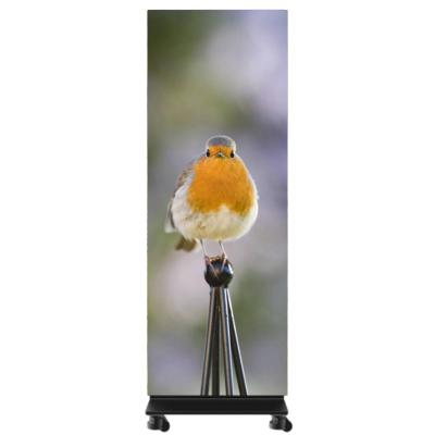 China P1.56 LED Poster Display 610×2143.4mm Weight 41kg 1x6 For Exhibitions for sale