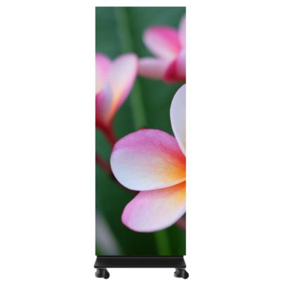 China P1.25 LED Poster Display Top-Cob High Protection 1x6 For Training Institutions for sale