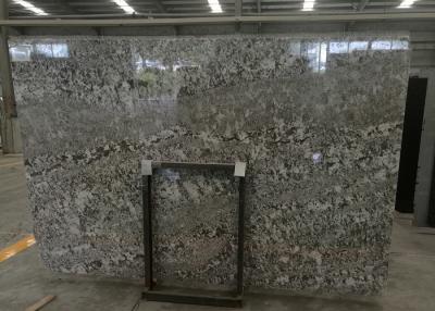 China Vorgeschnittene Granit-Platte Brasiliens Bianco Antico, graue Granit-Fliesen Bianco Antico zu verkaufen