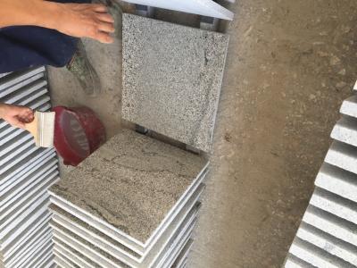Cina Mattonelle del bagno del granito di visconte White Vein Light-grey Grey per povero di nuoto in vendita