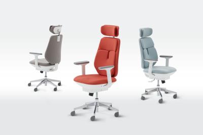 Cina BC03Q Bracciolo regolabile 3D Supporto lombare Sedia Copertura in lino a rete 19,05 kg in vendita