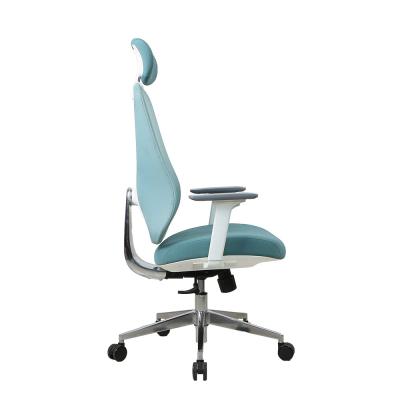 Cina Ergo dirigente blu Mesh Chair del nylon della sedia dell'ufficio di compito ergo in vendita