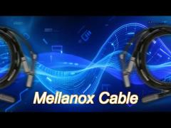 mellanox cable  mfp7e20-n010 multimode mpo-12/apc to 2x mpo-12/apc passive fiber cable