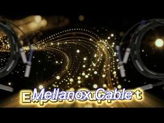 400g mellanox sfp28 aoc cable mfa1a00-e005