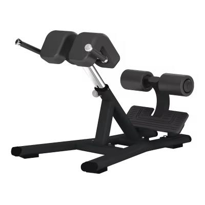 China Back Extension Bench Multi-functional Abs Bench Super Stretch Bench Abdominal Exercise Roma Chair for sale
