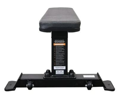 China Popular Model Home Use Fitness Equipment Sit up Bench Strength Training Gym Workout Flat Bench for sale