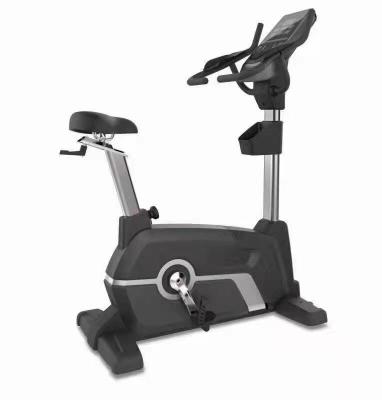China Factory Price Cardio Training Exercise Bike for Home with Magnetic/Auto Resistance, Bluetooth Stationary Bike for sale
