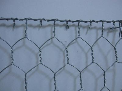China Gabion Production Line Automatic 66*85mm Edge Banding Machine 4000mm Hexagonal Wire Netting for sale
