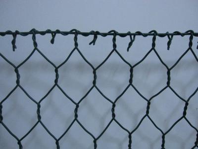 China Gabion Production Line Automatic 66*85mm Edge Banding Machine 4000mm Hexagonal Wire Netting for sale