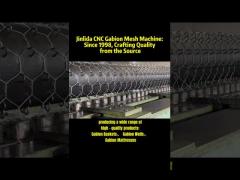 Cavo esagonale Mesh Making Machine di 4300mm torto doppio