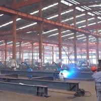 Quality Customizable Steel Structure Industrial Steel Building Warehouse Anti Earthquake for sale