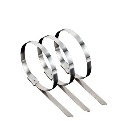 Cina Professional Flame Retardant 304 316 SS Cable Tie With Ball Lock in vendita
