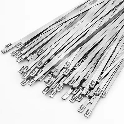 Cina 100pcs 304 Stainless Steel Cable Tie Stainless Steel Self Locking Zip Ties in vendita