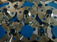 China Durable 304 316  Weld Neck Pipe Flanges DIN ASME High Performance for sale