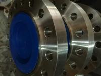 China Durable 304 316  Weld Neck Pipe Flanges DIN ASME High Performance for sale