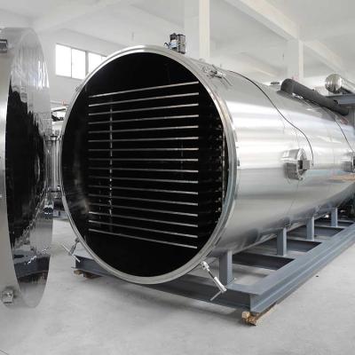 China Low Energy Consumption Fruit Lyophilizer Commercial Vacuum Freeze Drying Machine for sale