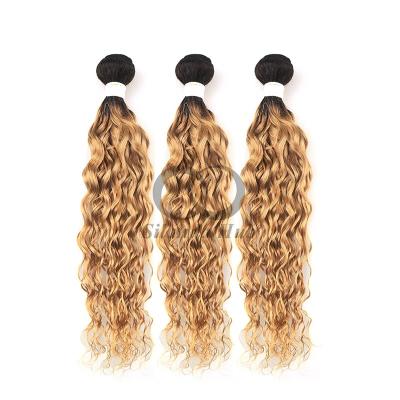 China #T1B/27 Water Wave Remy Human Hair Bundles Sew In Weave Bundles Brazilian Bundle Deals for sale