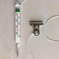 Quality Digital Thermometer Mercury Free for sale