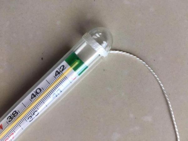 Quality FN-W Customized Clinical Mercury Free Digital Thermometer in Yellow/blue for sale