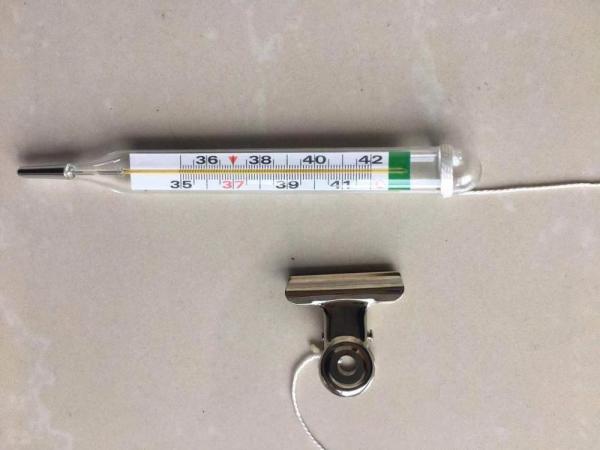 Quality FN-W Customized Clinical Mercury Free Digital Thermometer in Yellow/blue for sale