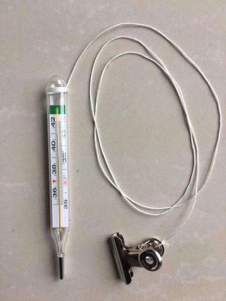 Quality FN-W Customized Clinical Mercury Free Digital Thermometer in Yellow/blue for sale