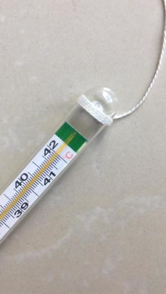 Quality FN-W Customized Clinical Mercury Free Digital Thermometer in Yellow/blue for sale