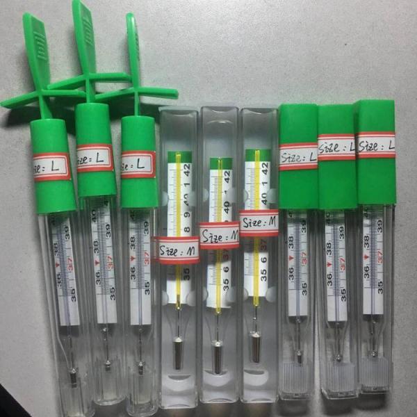 Quality High Accuracy Body Glass Mercury-free Oral Thermometer Other Customized Help Offered for sale