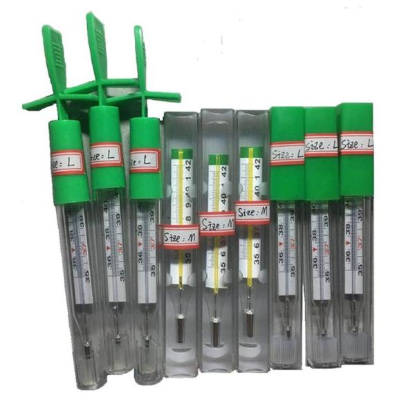 Quality Clinical Underarm Type Mercury-free Thermometer with Glass for sale