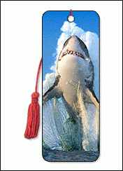 3D Lenticular Bookmark