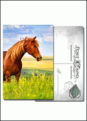 3D Lenticular postcard