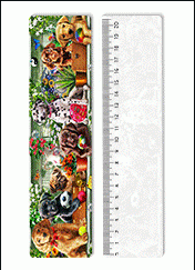 3D Lenticular Ruler