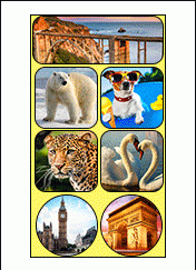 3D Lenticular Sticker