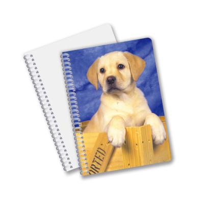 China Cina Fabbrica 3D Lenticolare Custom offset stampato PET A3/A4/A5/A6 Notebooks for sale